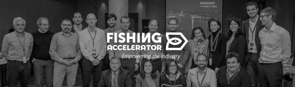 Fishing Accelerator - Kaleido